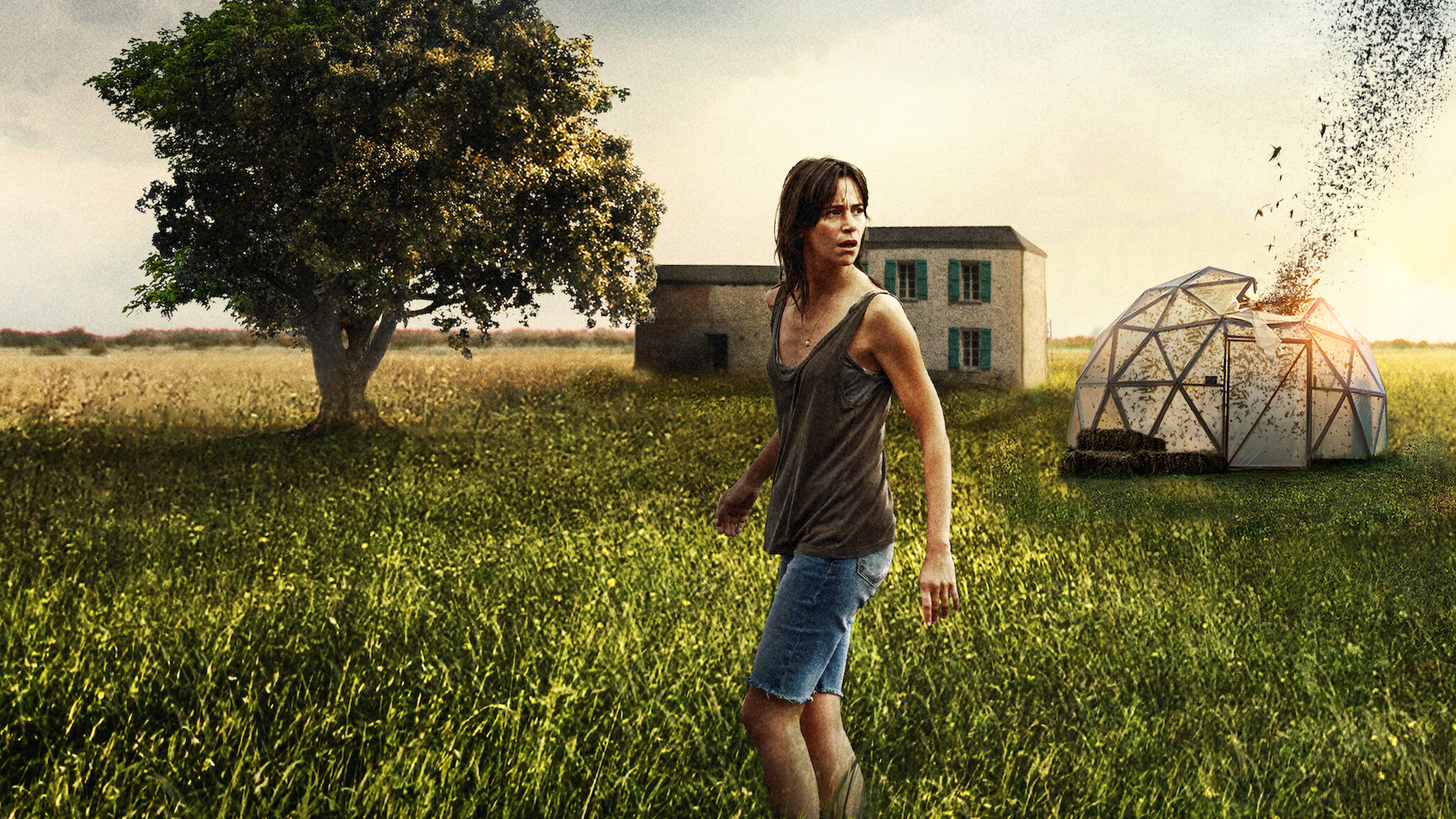 Watch The Swarm | Netflix Official Site