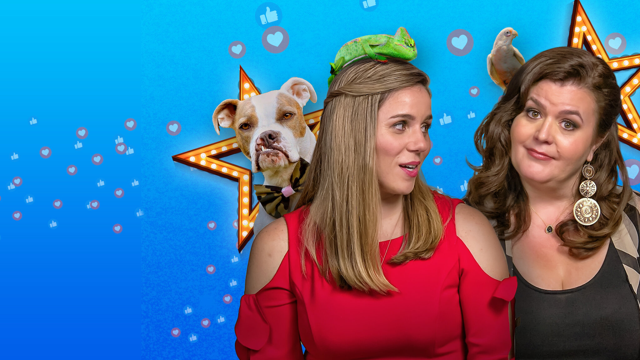 Watch Pet Stars | Netflix Official Site