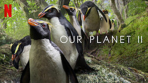 TV Shows | Netflix Official Site