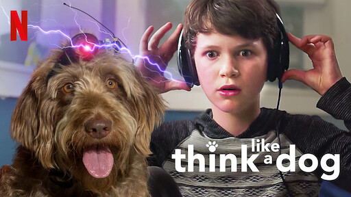 Watch Benji | Netflix Official Site