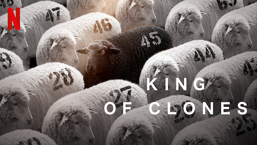 Watch Unknown: Cave of Bones | Netflix Official Site