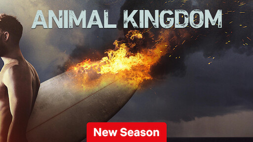 Watch Animal | Netflix