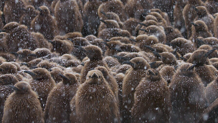 Watch Our Universe | Netflix Official Site