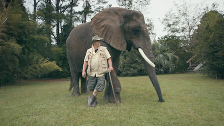 Watch Tiger King: The Doc Antle Story | Netflix Official Site