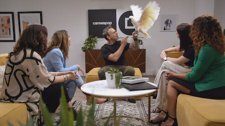 Watch Pet Stars | Netflix Official Site