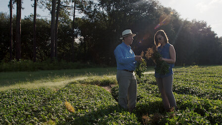 Watch Rotten | Netflix Official Site