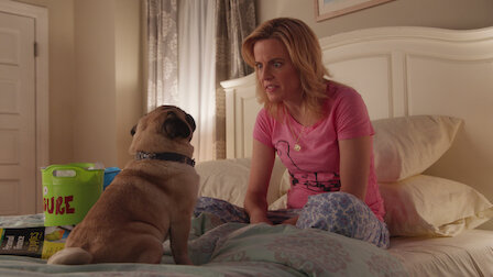 Watch Lady Dynamite | Netflix Official Site