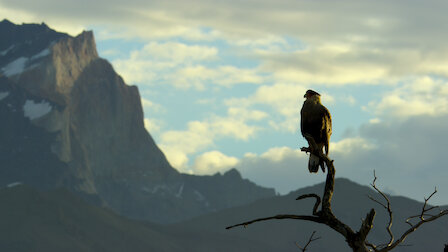 Watch Our Great National Parks | Netflix Official Site
