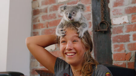 Watch Izzy's Koala World | Netflix Official Site