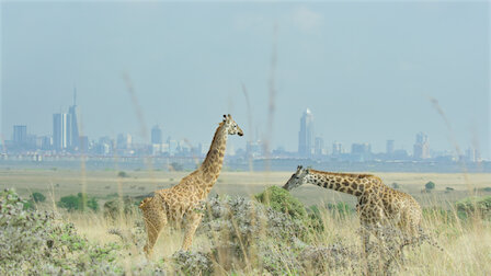 Watch Breaking Boundaries: The Science Of Our Planet | Netflix Official ...