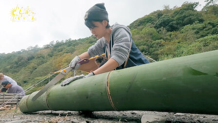 Watch Light the Wild | Netflix