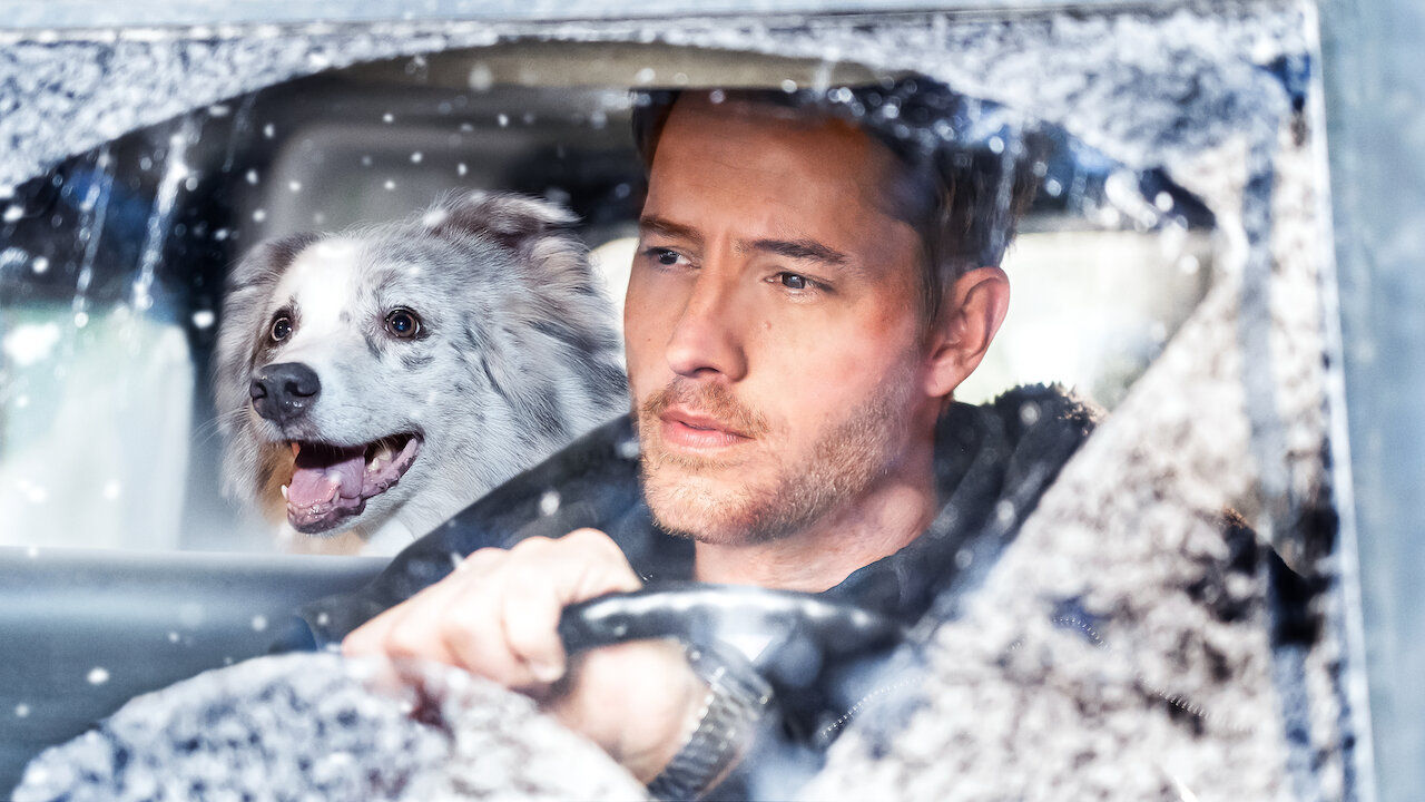 Watch The Noel Diary | Netflix Official Site