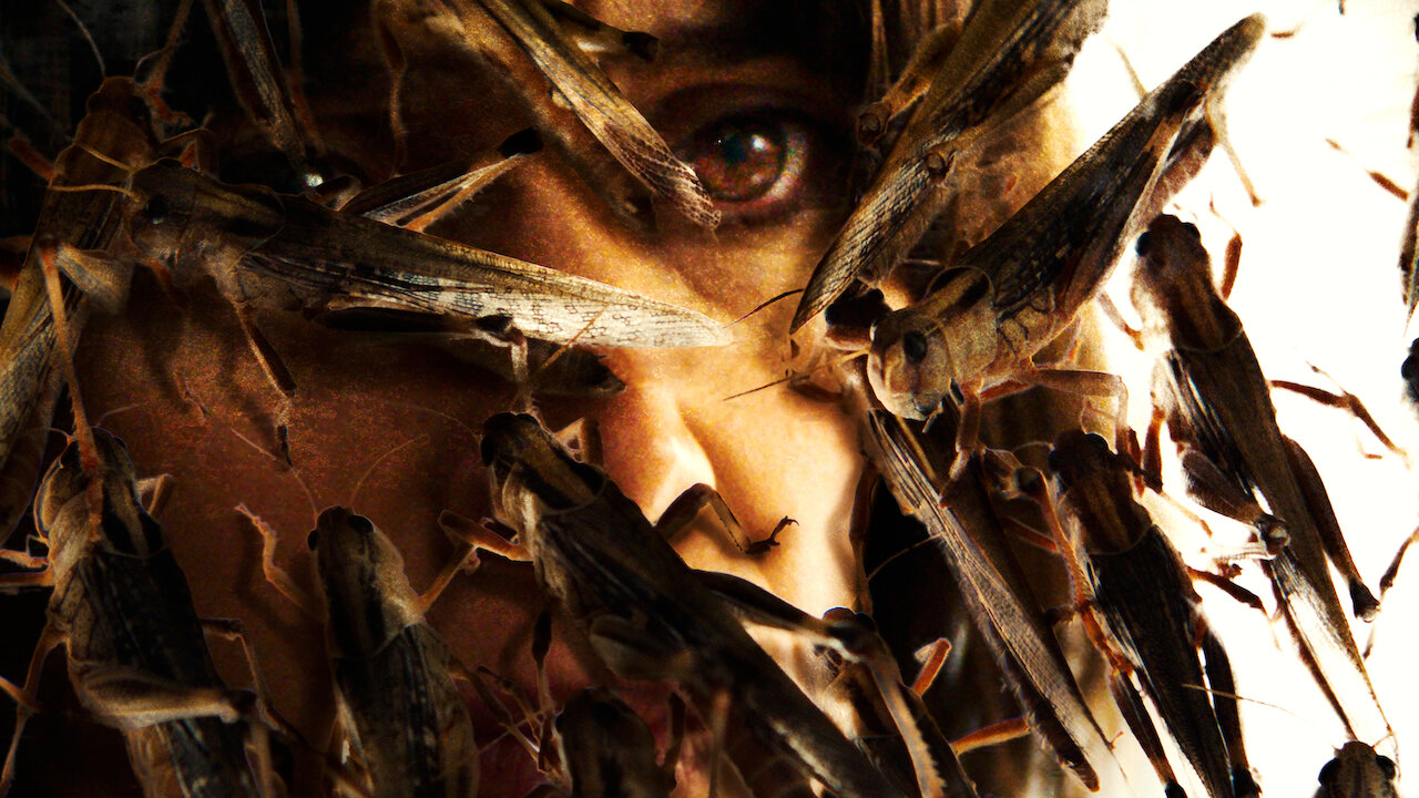 Watch The Swarm | Netflix Official Site