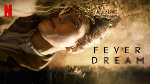 Watch A Fall from Grace | Netflix Official Site